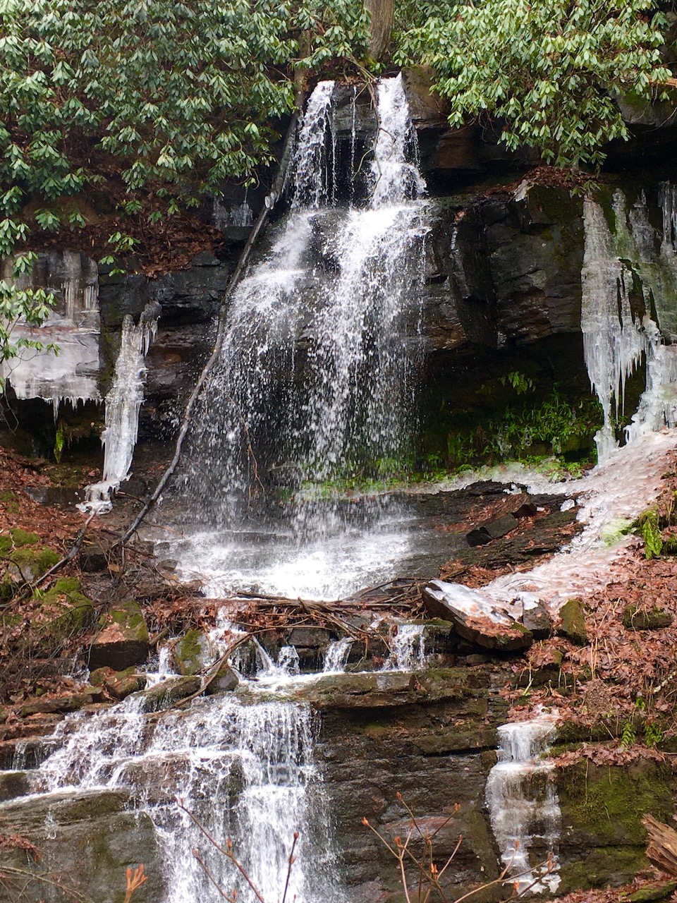 A spontaneous winter hike to a waterfall – Butterfly Mind